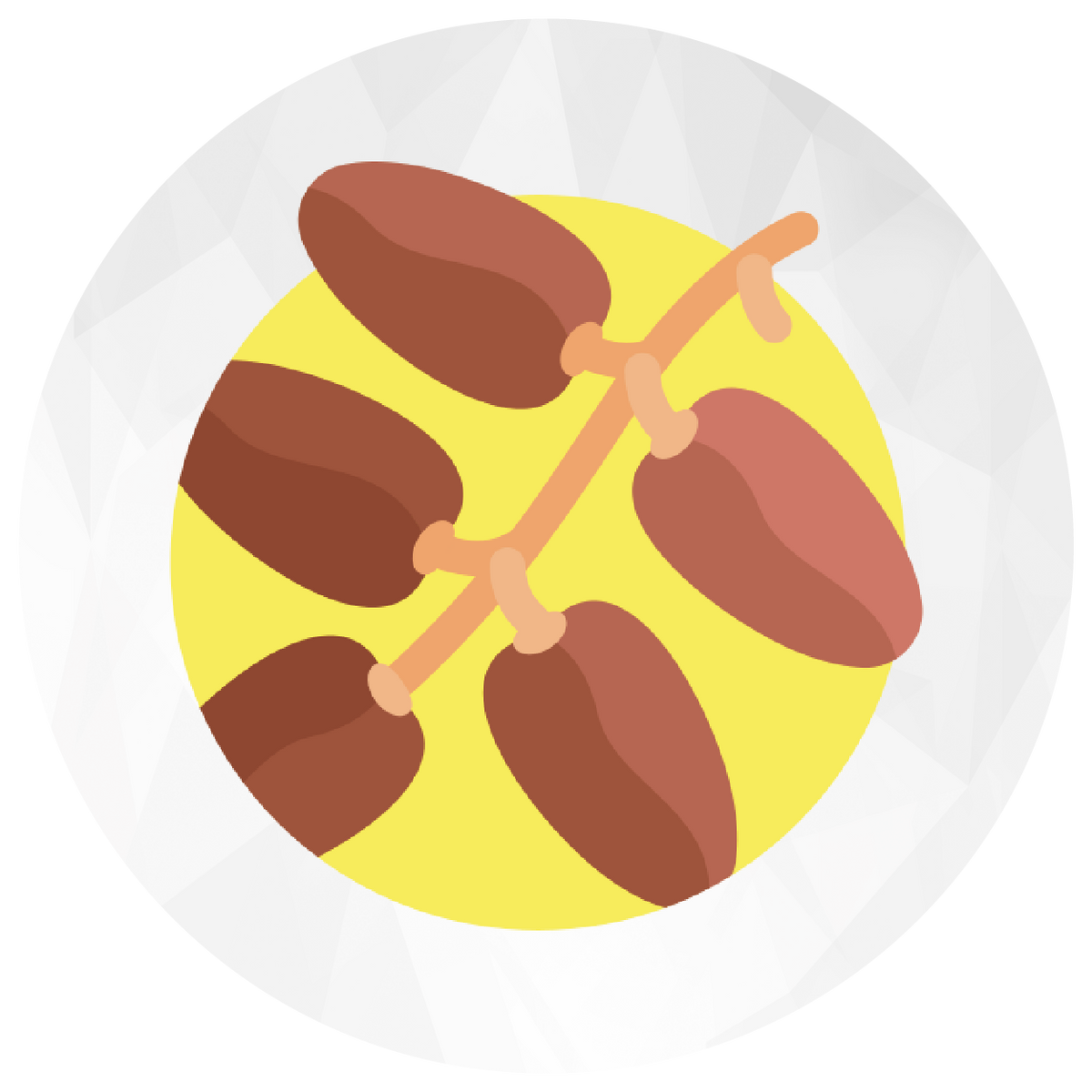 Buy Bulk Dates online at Unbeatable Prices – Aytac Foods Wholesale